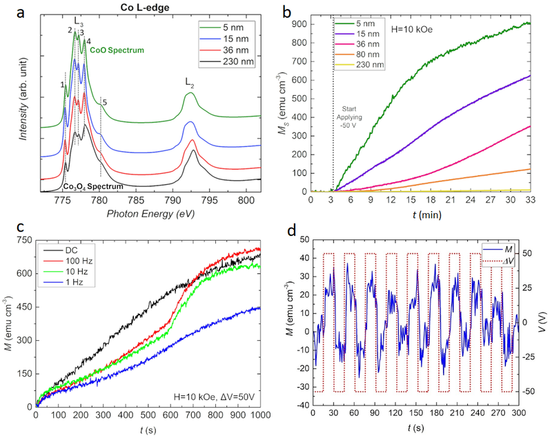 Researchers reproduce artificially the learning and forgetting ...