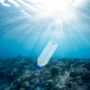 Microplastics detected for the first time in a freshwater lake in the ...