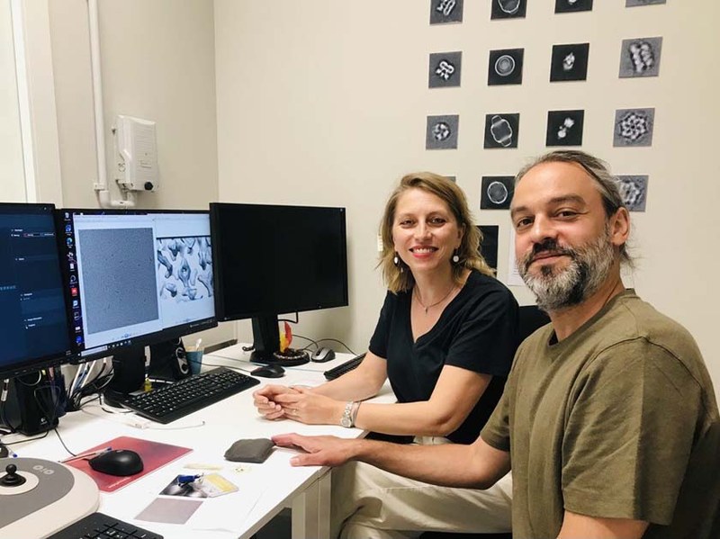 New insights to advance targeted brain cancer therapy - ALBA Synchrotron