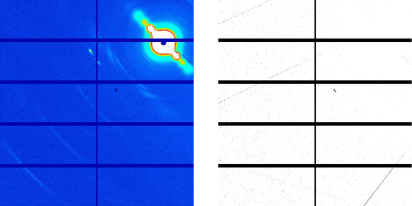 Understanding how the taxanes antitumoral drugs modulate cell ...